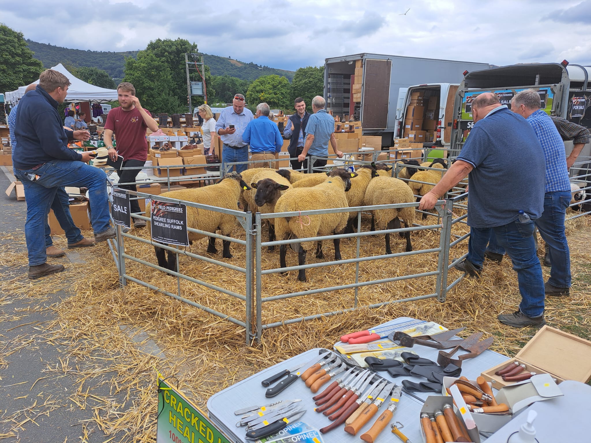 National Sheep Association Sheep Event 2022 - OLMC